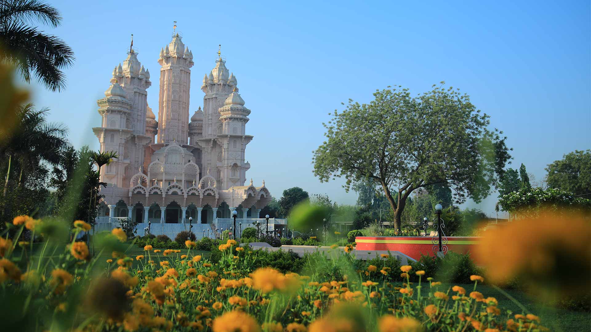 Upcoming On-The-Road Programs - Amrit Yoga Institute